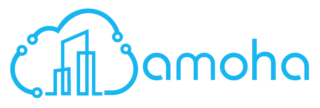 Amoha - IT Cost Optimization as a Service